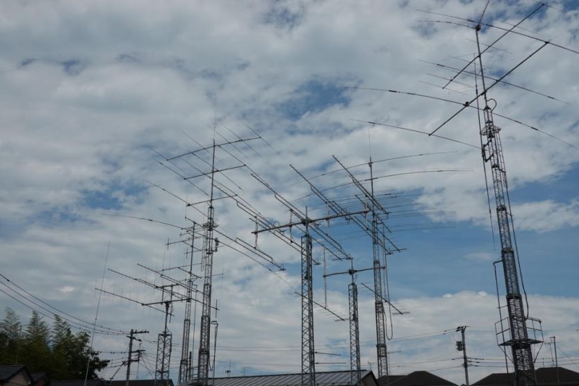 Ant Farms / AO-Journal p1584 #2