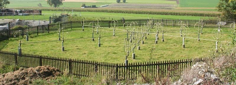 Loop / AO-Journal p758 #2